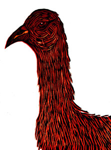 Moa – A Field Guide to Extinct Birds
