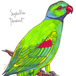 A Field Guide to Extinct Birds